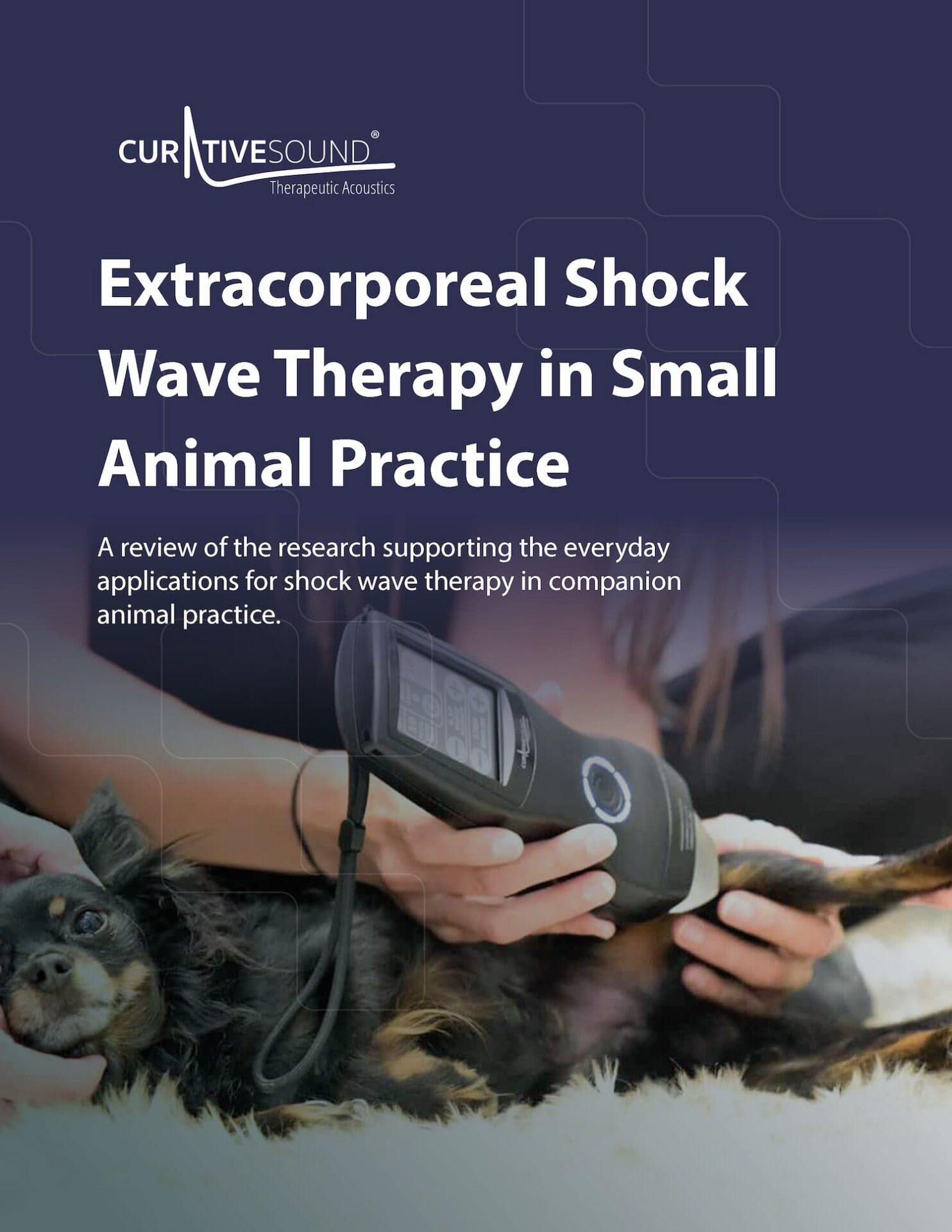 Extracorporeal Shock Wave Therapy in Small Animal Practice - Curative ...