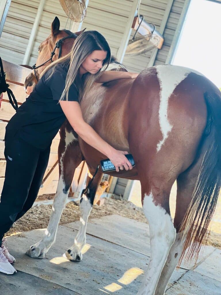 CS-Pro VET - Curative Sound | ESWT for Companion Animals and Equine