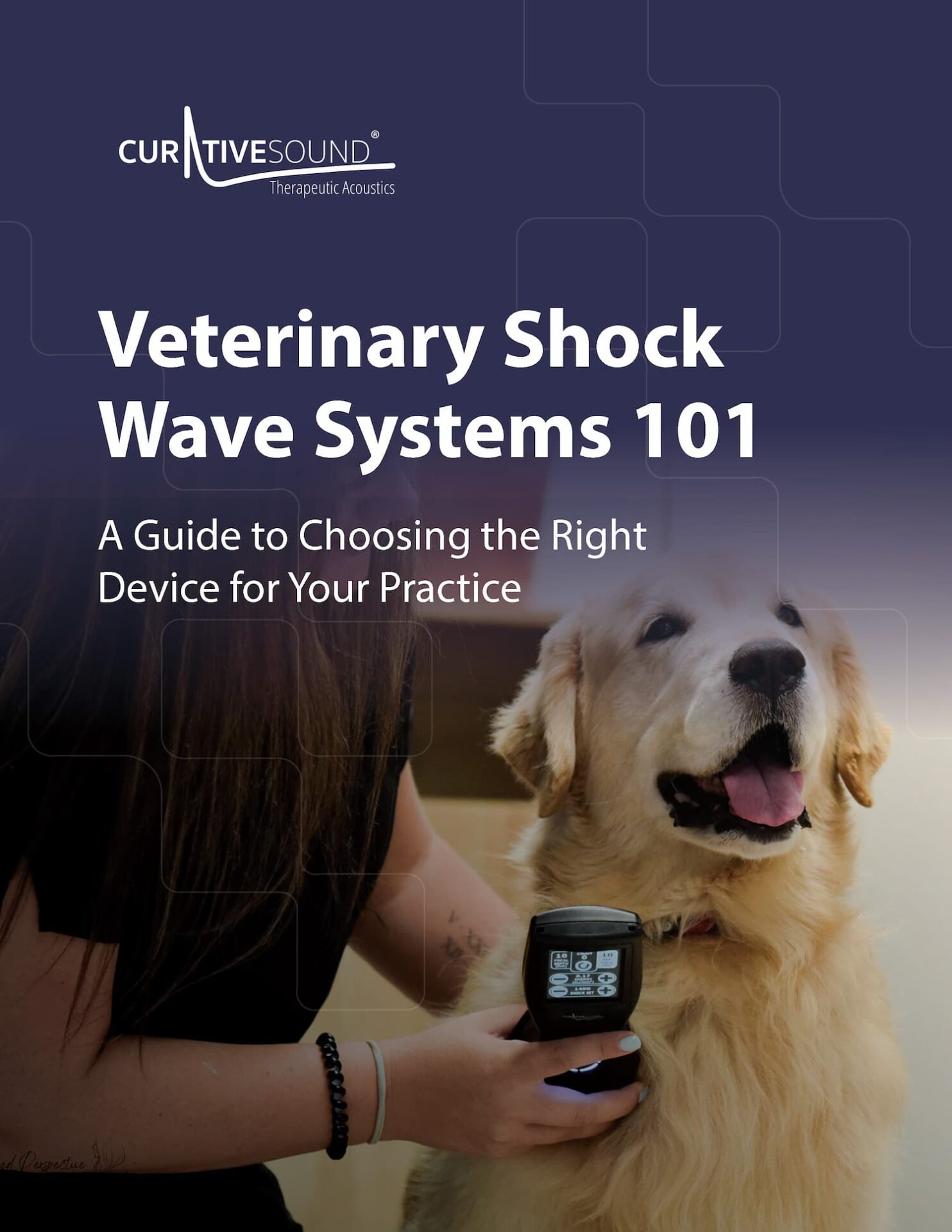 Veterinary Shock Wave Systems 101 - Curative Sound | Portable f-ESWT ...